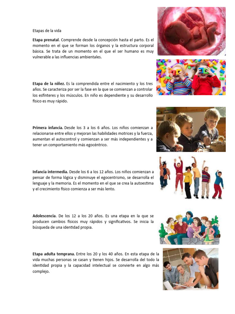 Etapas de la Vida Humana | PDF | Relaciones personales, crianza y ...