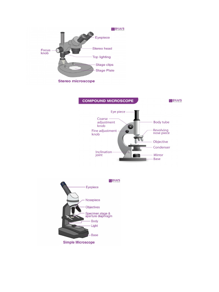 Microscopes | PDF