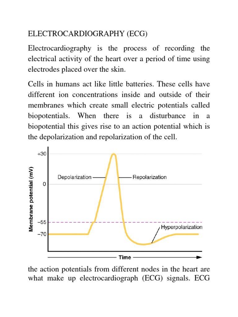 ECG | PDF | Electrocardiography | Amplifier