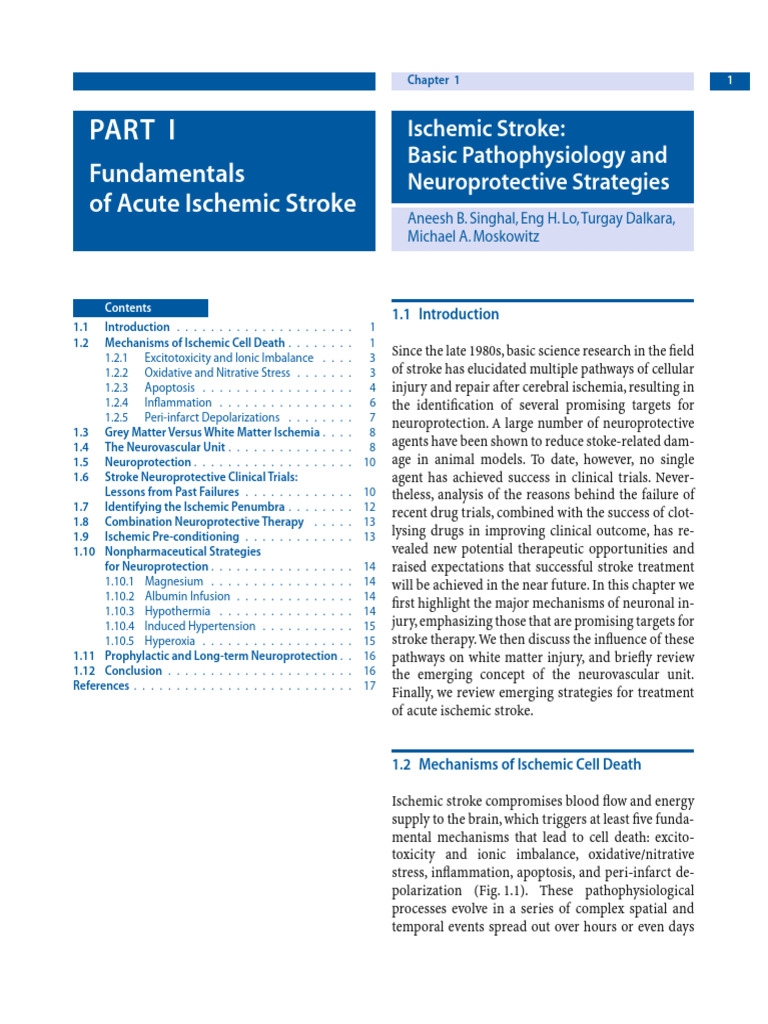2 Ischemic Stroke Basic Pathophysiology and Neuroprotective Strategies | Download Free PDF ...