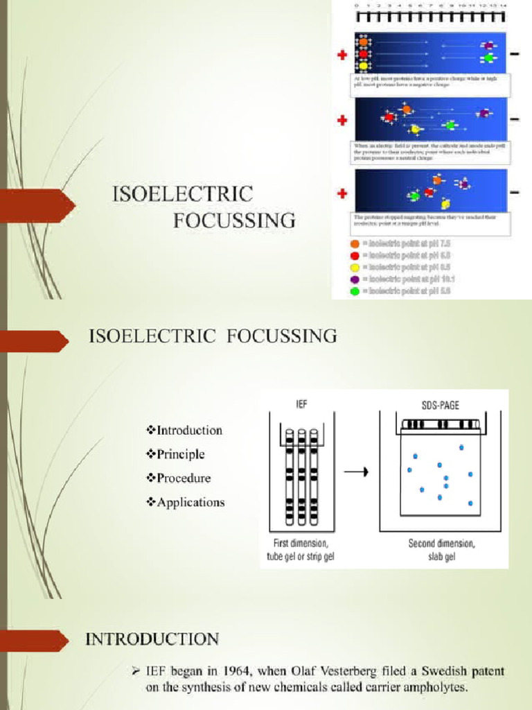 Isoelectric-Focussing From M App Android | PDF