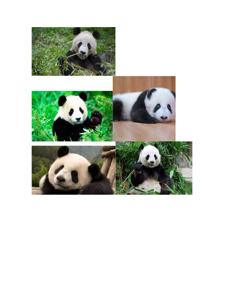 Pandas | PDF