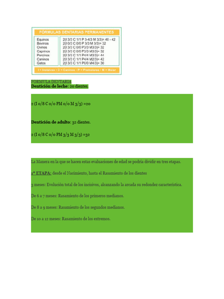 Formula Dentaria Ganadera | PDF | Diente | Anatomia dental