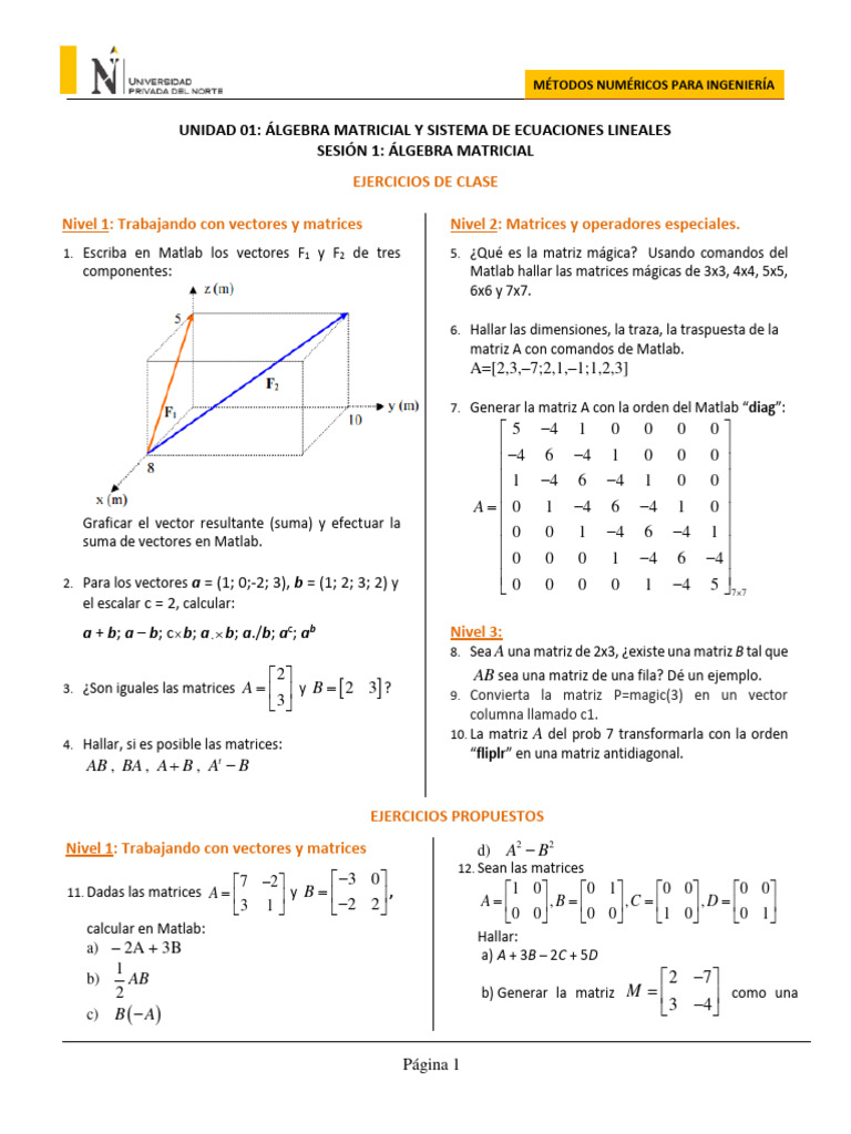 HojaTrab01 Matrix 18 | PDF | Matriz (Matemáticas) | Álgebra lineal