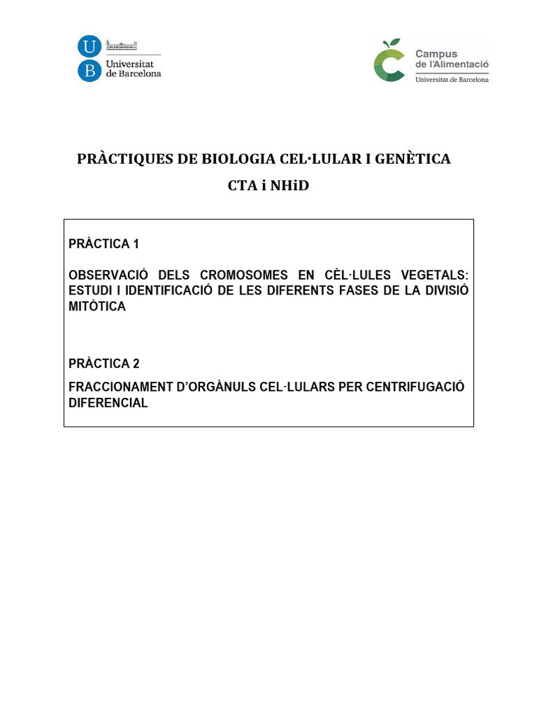 GuiÃ PrÃ Ctiques BCG | PDF