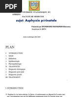 ERCF | PDF | Grossesse | Accouchement