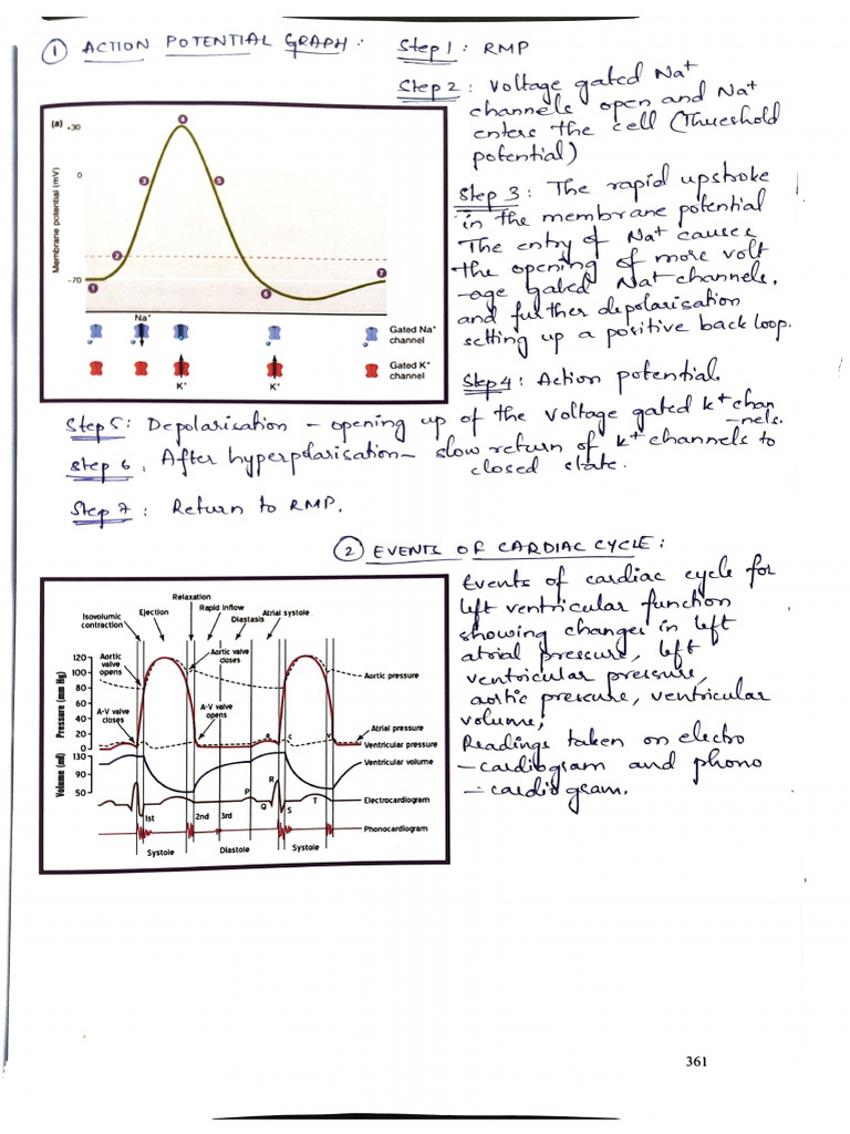 Physio Graphs | PDF