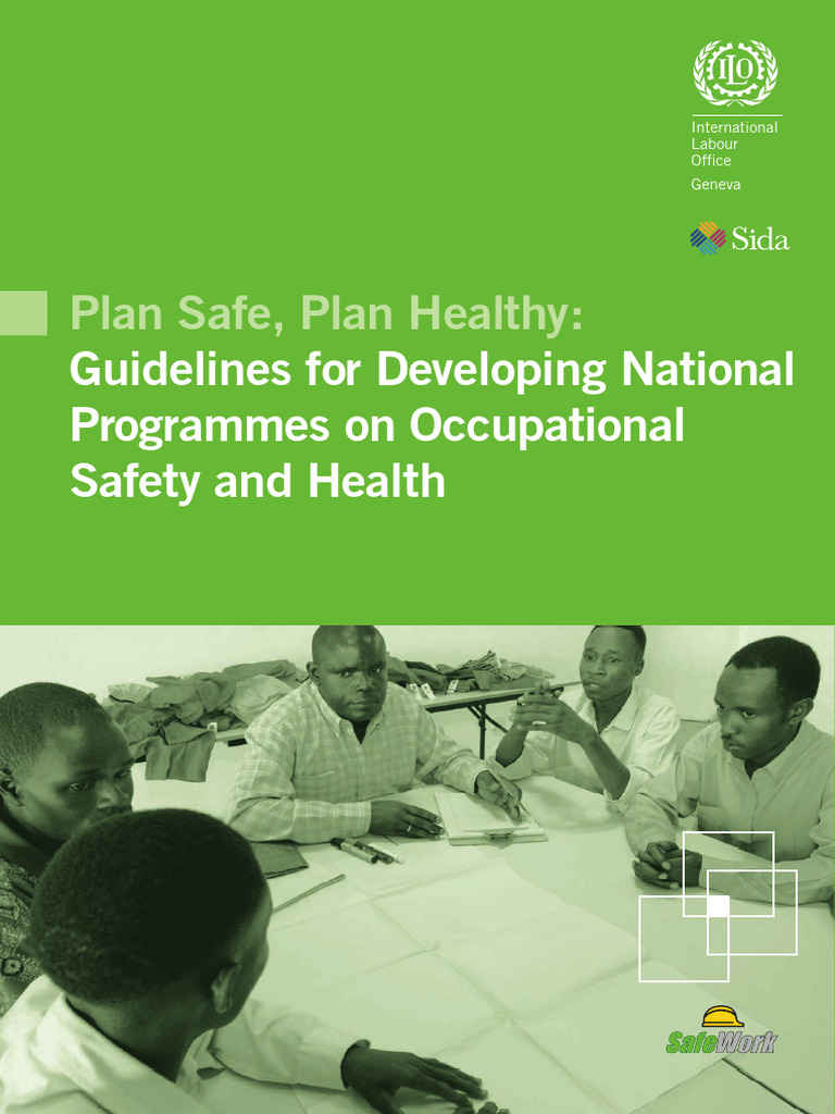 Guideline for Developing National Programmes for OHS | PDF ...