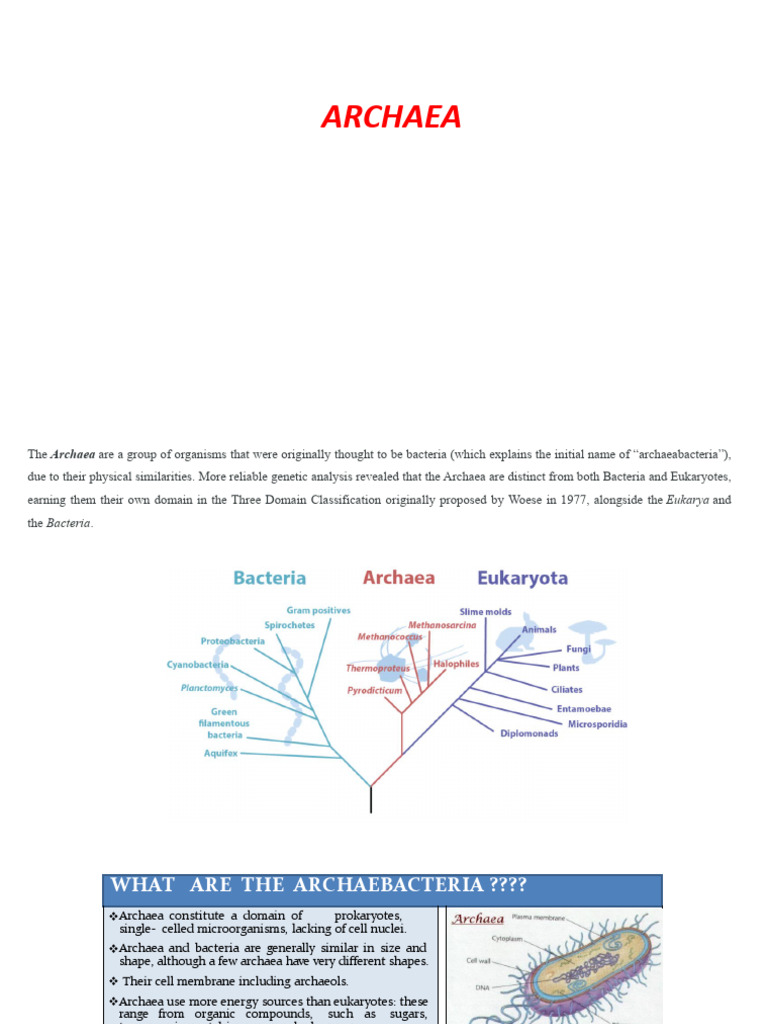 ARCHAEA | PDF | Archaea | Bacteria
