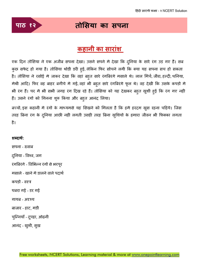 NCERT Solution Toshiya Ka Sapna Sarangi Class 2 | PDF