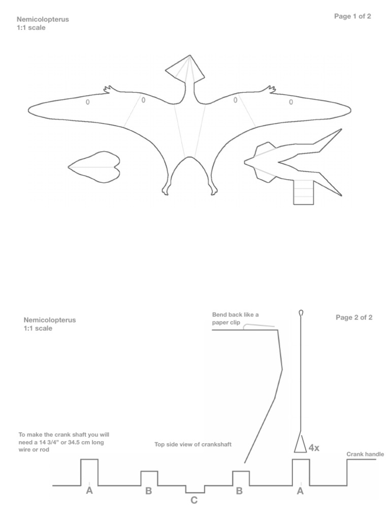 Nemicolopterus Template | PDF
