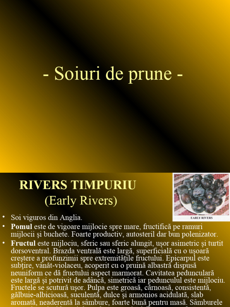 Prune - Soiuri | PDF