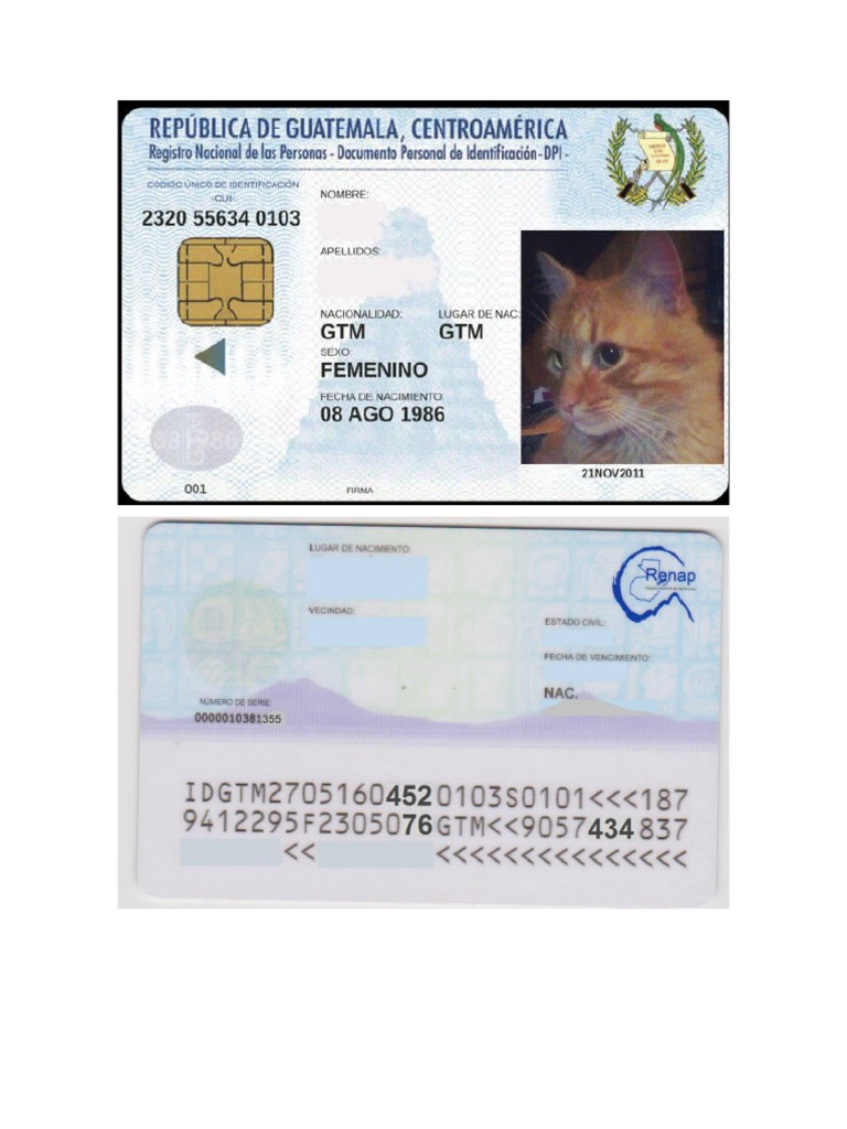 Dpi para Llenar | PDF