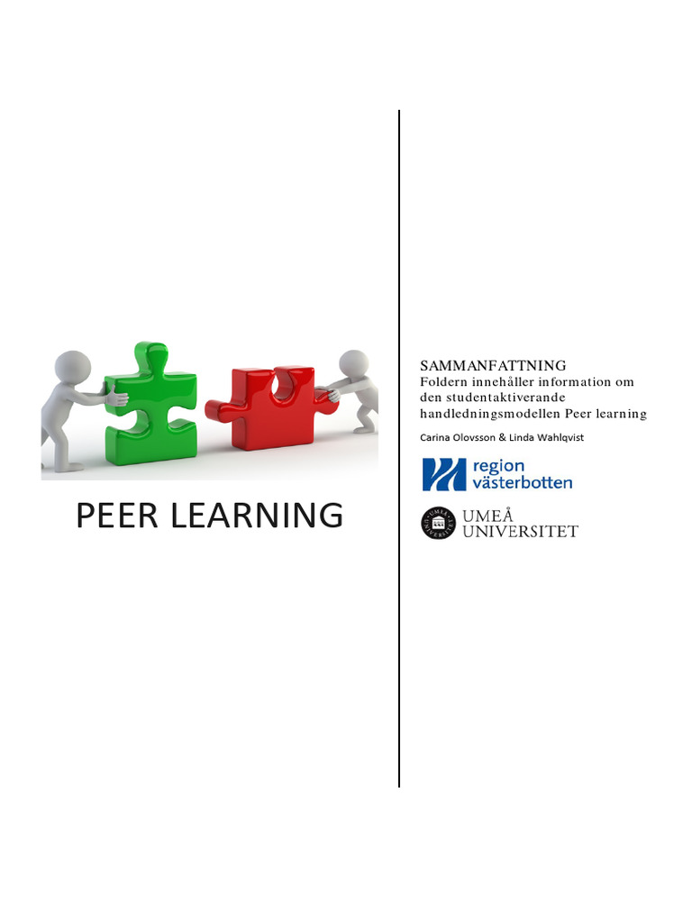 Broschyr Peer Learning | PDF
