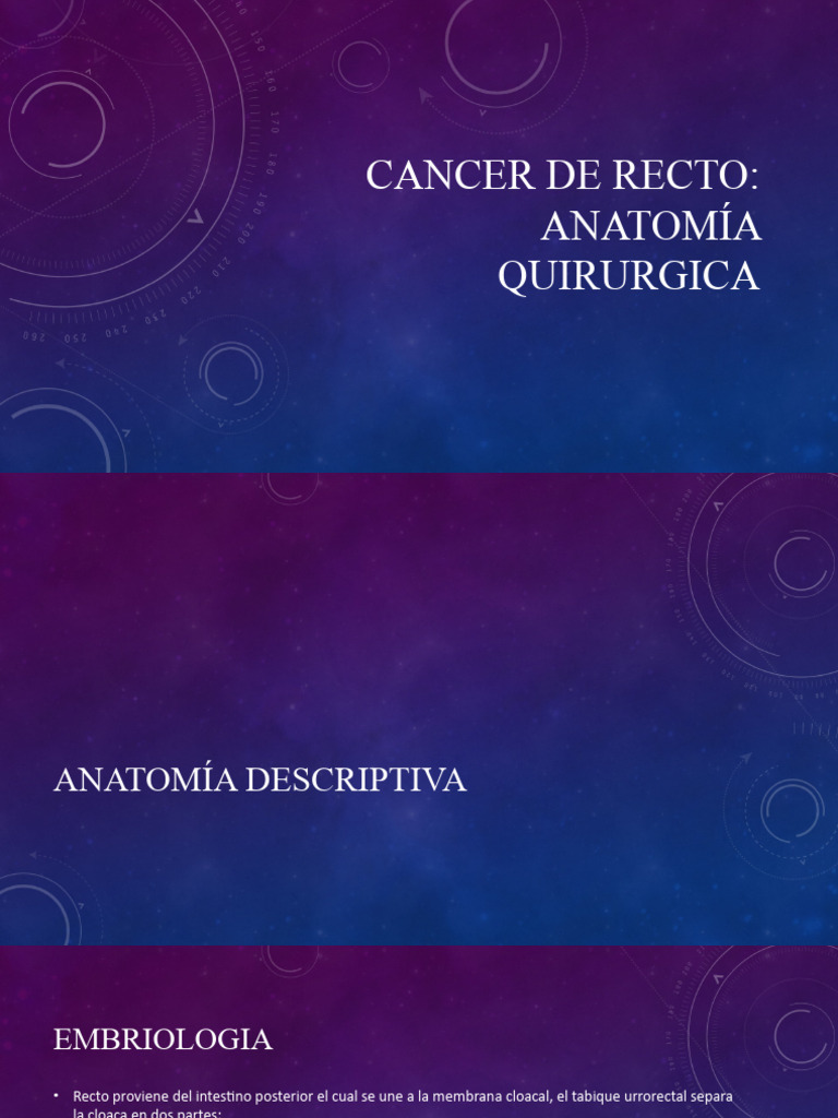 Cancer de Recto Anatomia Quirurgica | PDF