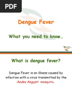 Dengue Lecture Final | PDF | Mosquito | Diseases And Disorders