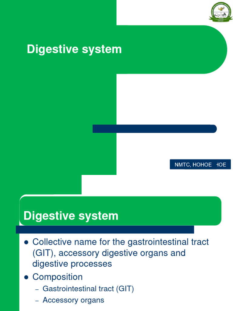 Lesson 3 - Digestive System Part 1 | PDF | Gastrointestinal Tract | Tongue