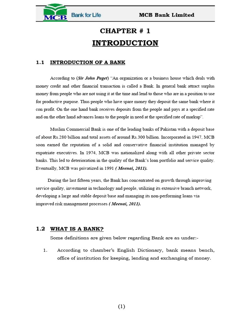 Mcb Report 2024 | PDF | Banks | Cheque