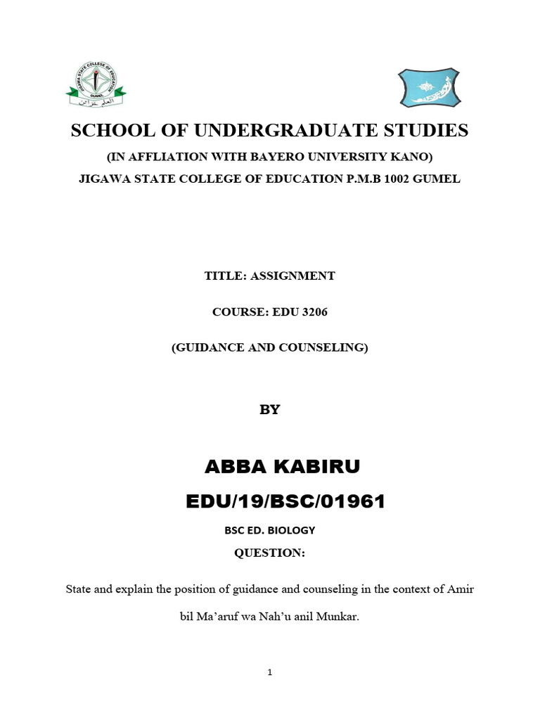 Guidance Assignment ONE | PDF