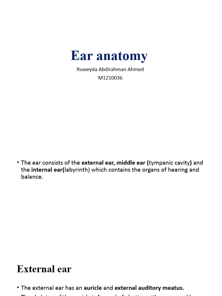 Ear Anatomy Pdf Ear Auditory System