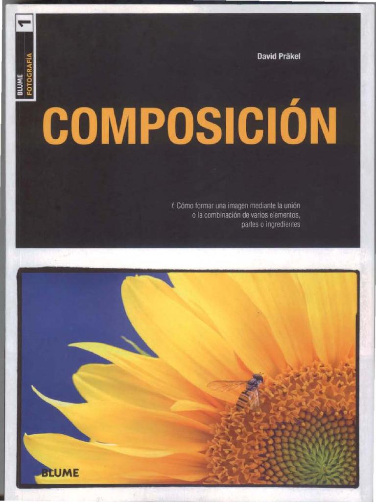 Composición de La Imagen | PDF | Grabación | Óptica