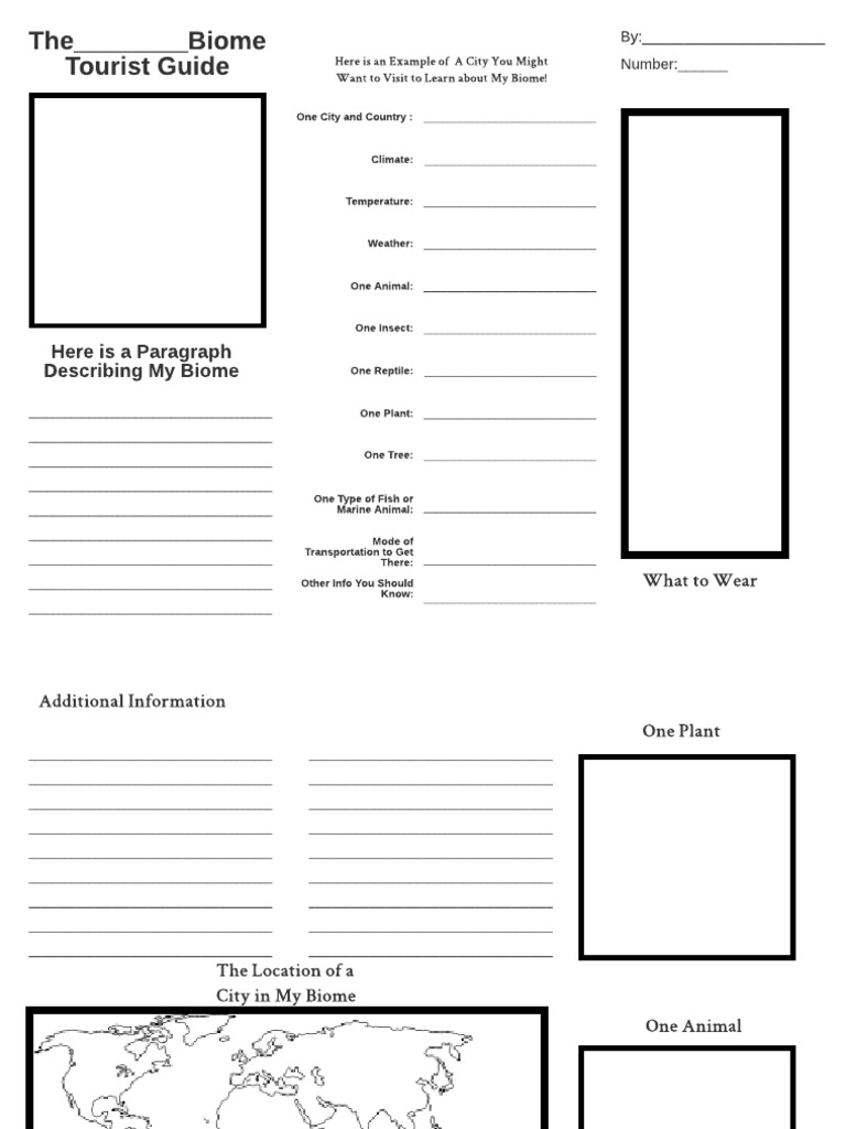 The - Biome Tourist Guide: Here Is A Paragraph Describing My Biome | PDF
