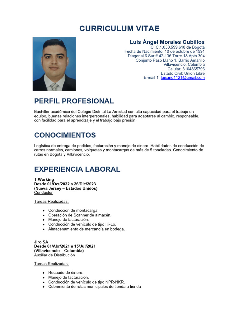 Curriculum Vitae Luis Morales Espanol | PDF | Transporte
