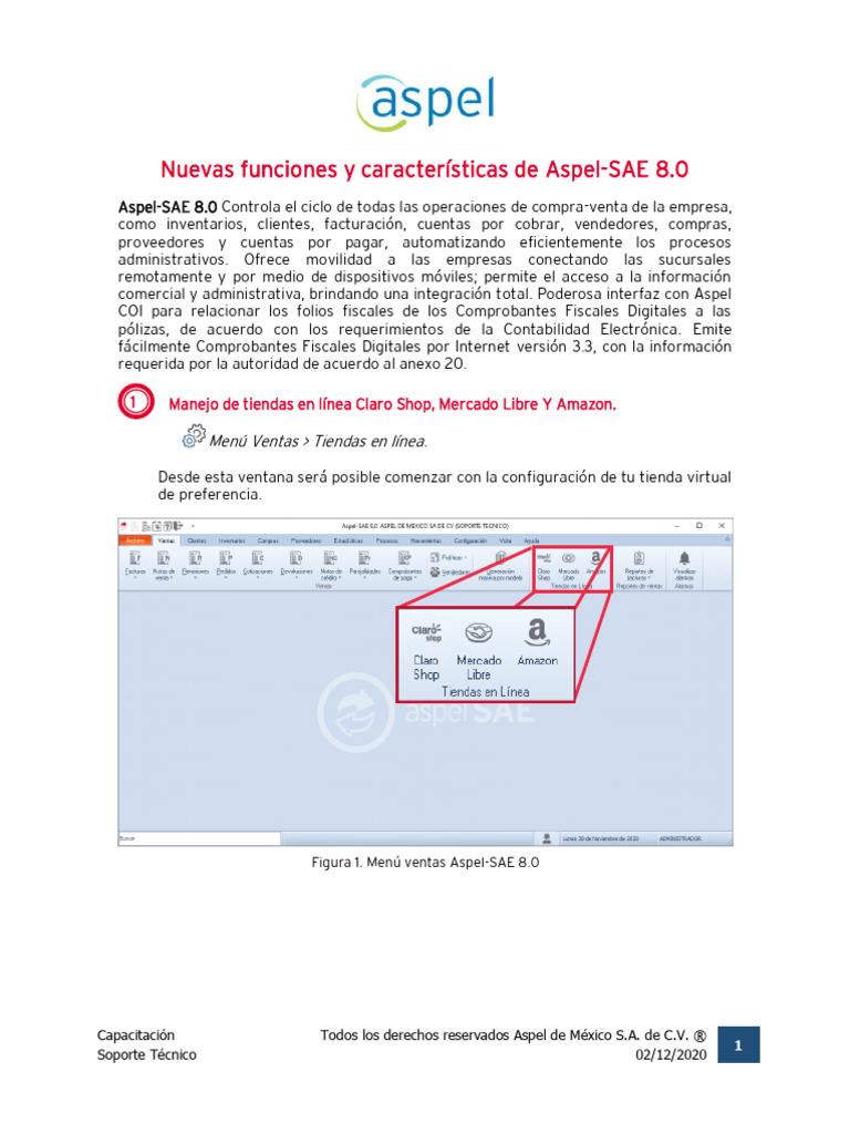 Guía de Configuración Aspel-SAE 8.0 | PDF | Las compras en línea | Informática