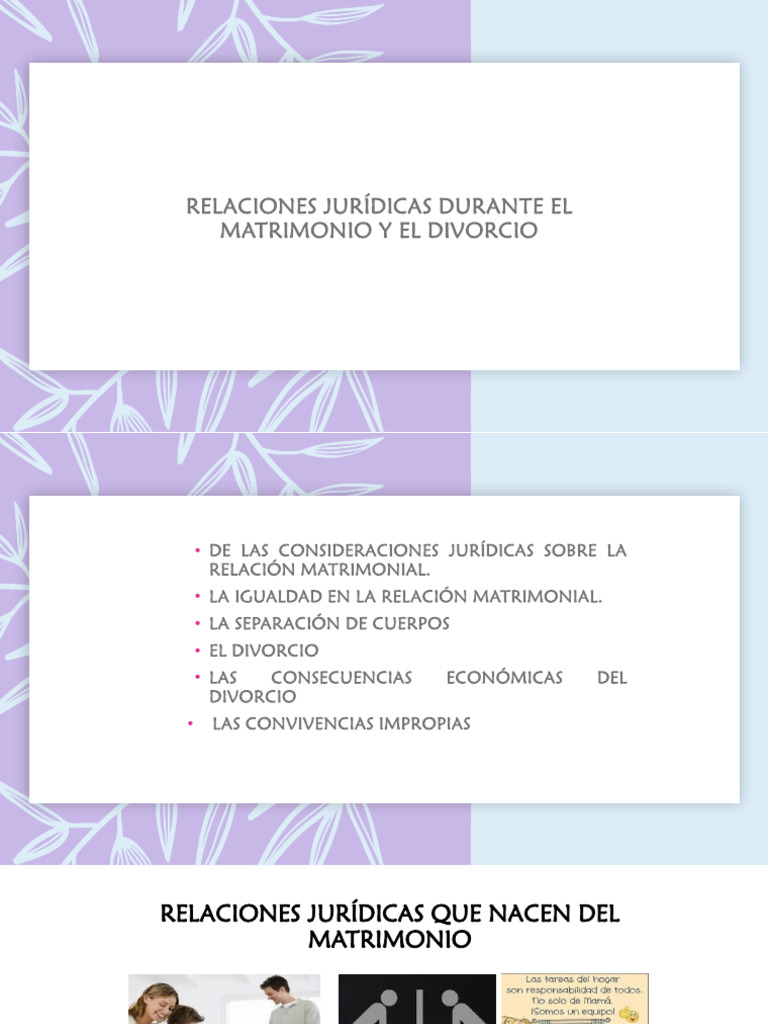 Relaciones Jurídicas Durante El Matrimonio y El Divorcio Pt12wxr | PDF ...