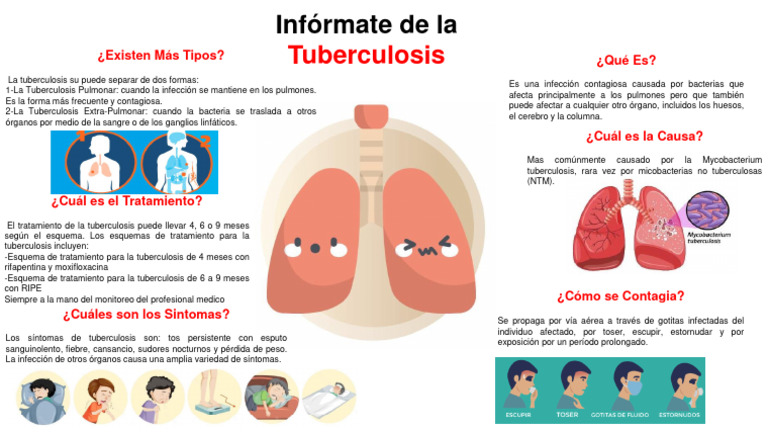 Cartelera Tuberculosis | PDF | Tuberculosis | Enfermedades respiratorias