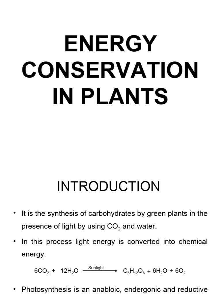 6 Energy Conservation | PDF