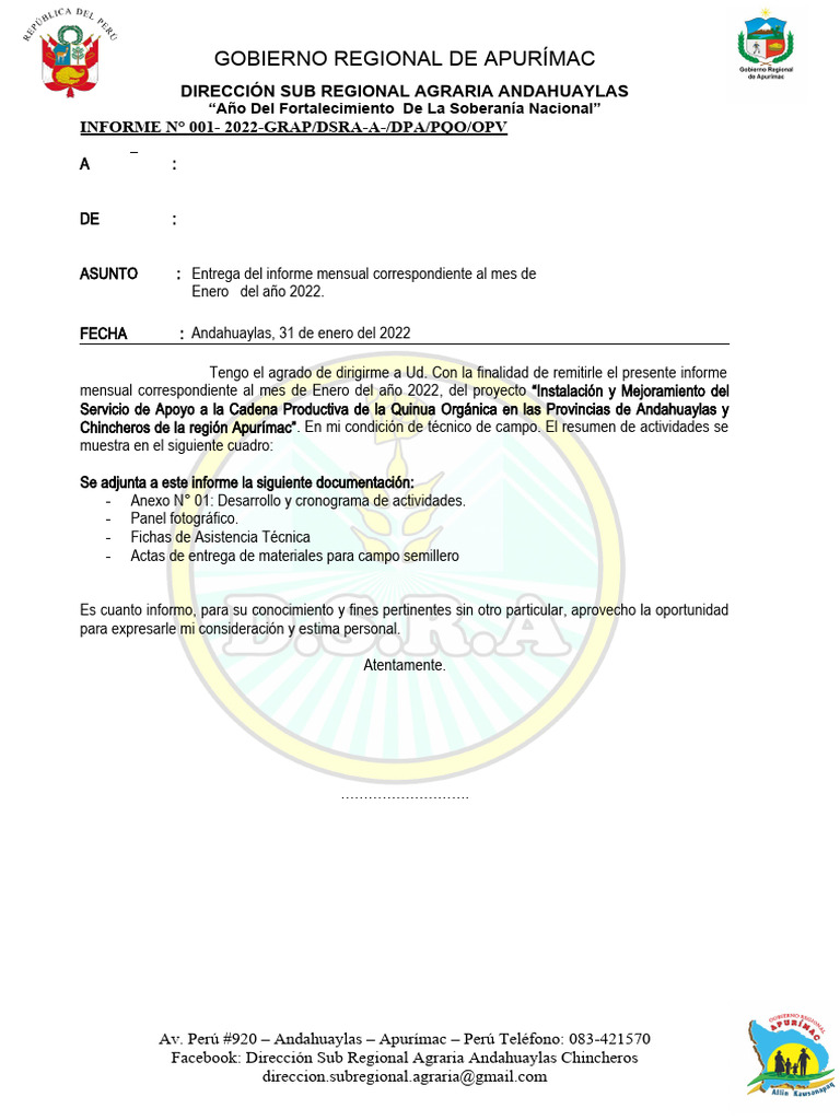 Modelo de Informe | PDF