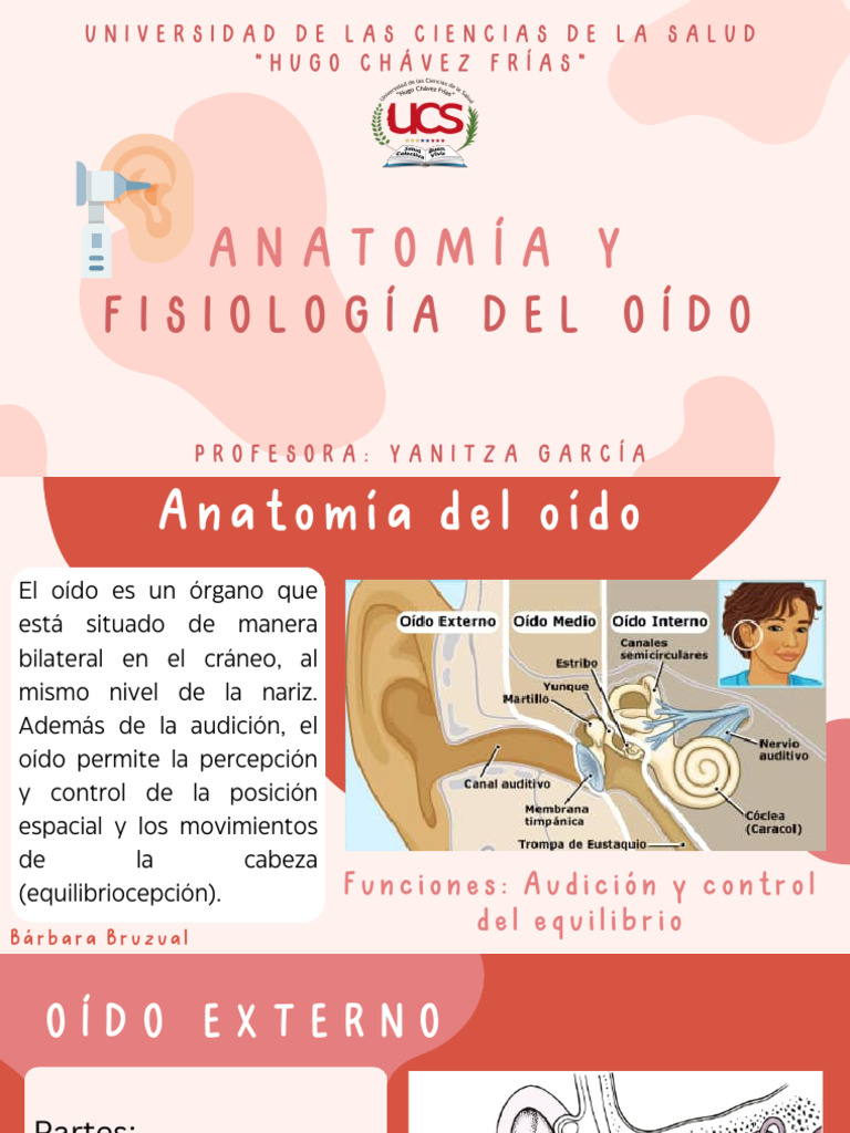 Anatomía y Fisiología del Oído | PDF | Oído | Escuchando