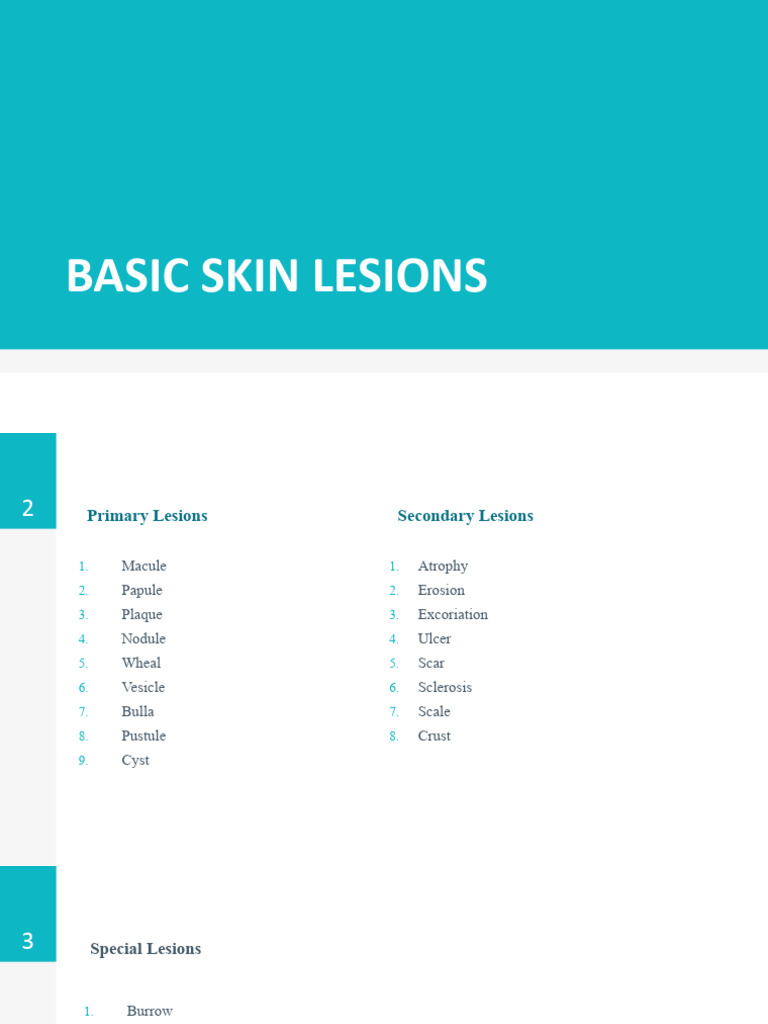 Overview of Skin Lesions Types | PDF