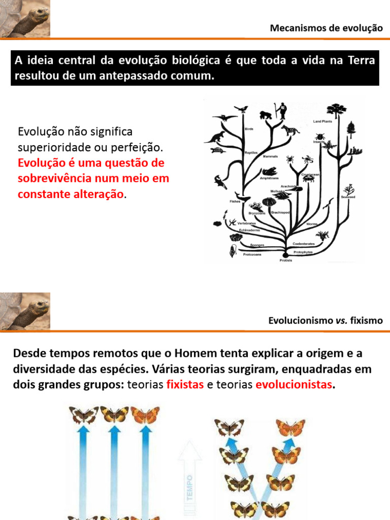 Fixismo e Evolucionismo | PDF