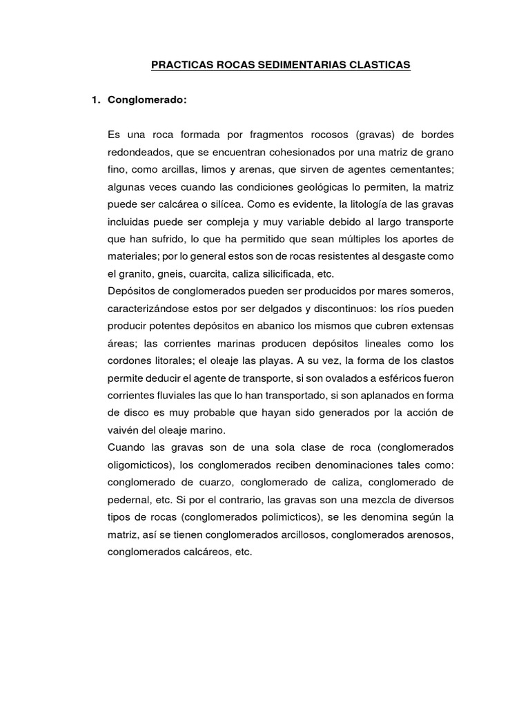 Practicas Rocas Sedimentarias Clasticas | PDF | Arenisca | Roca (geología)