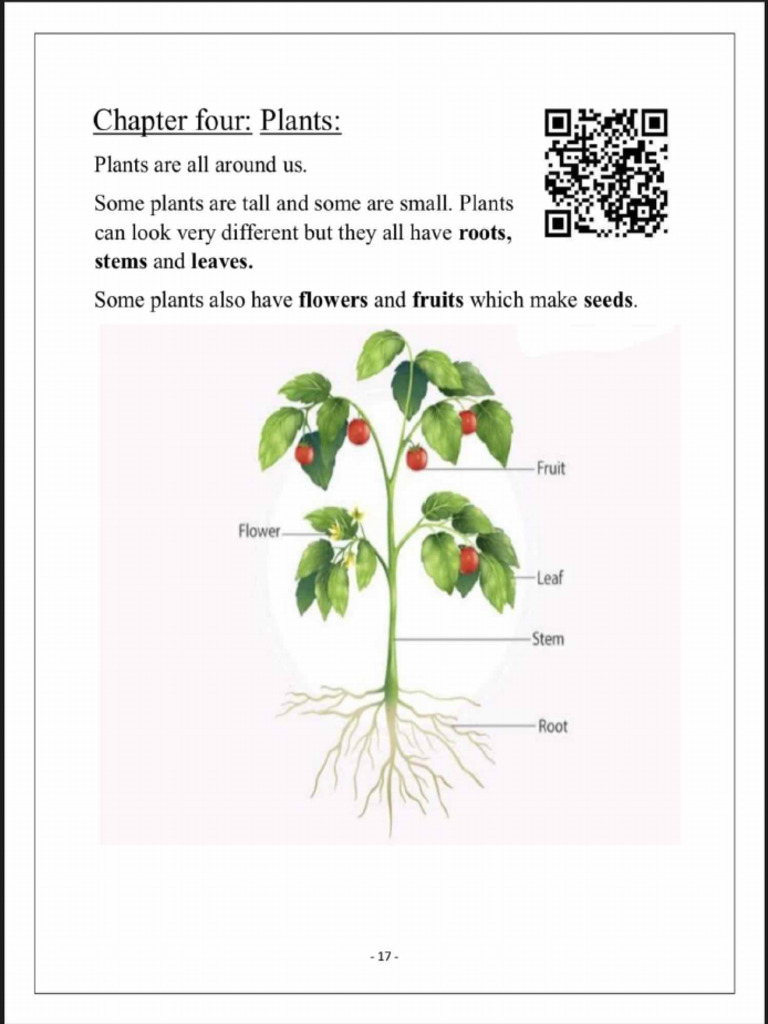 Plants | PDF