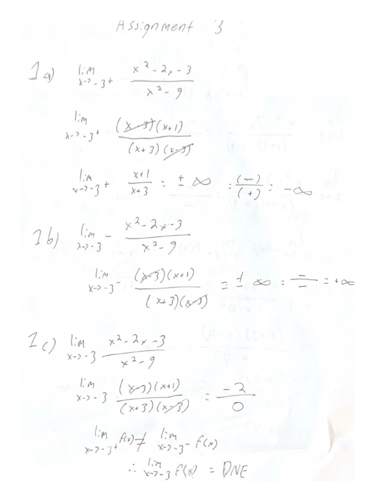 Assignment 3 Pdf