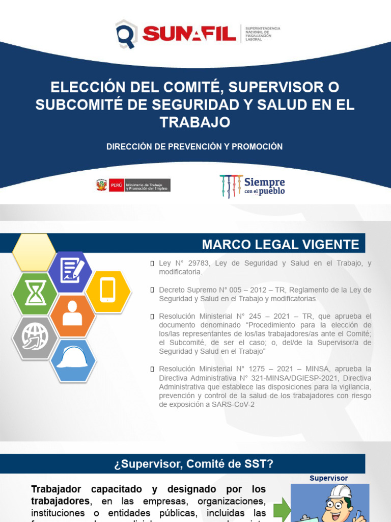 Comité o Supervisor de SST 2022 | PDF