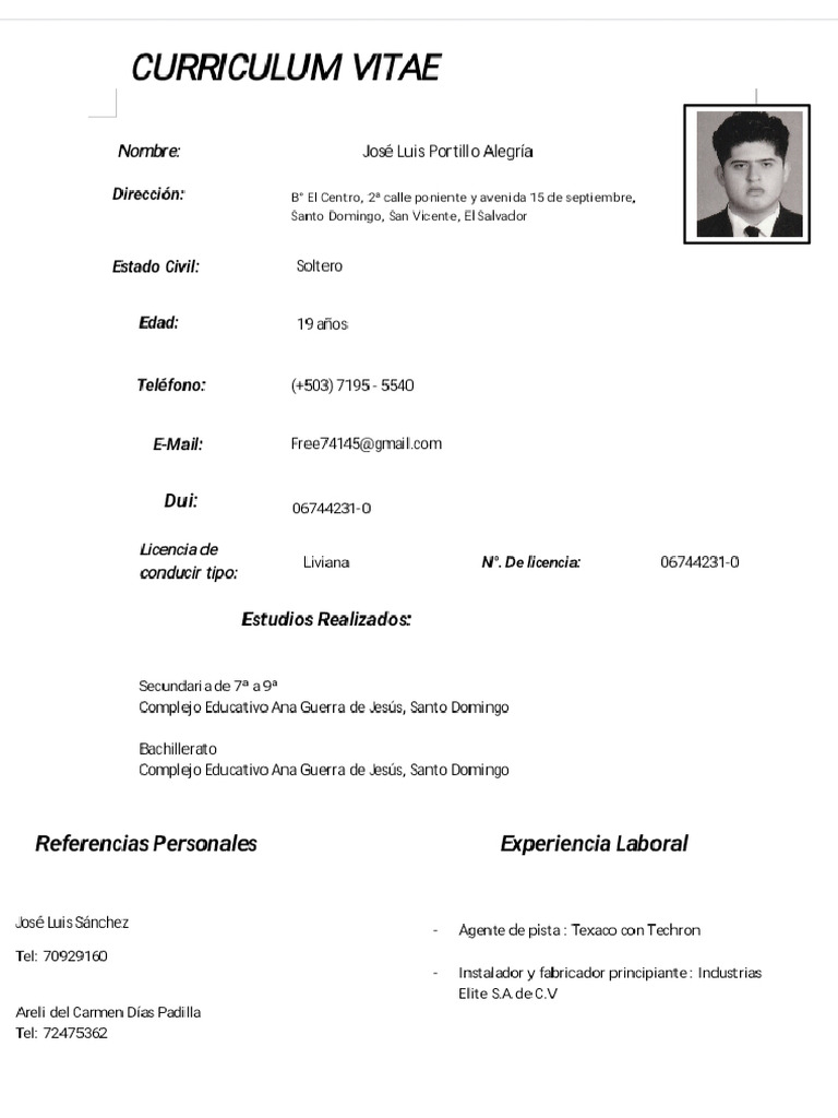 Original Curriculum - José Luis Portillo | PDF