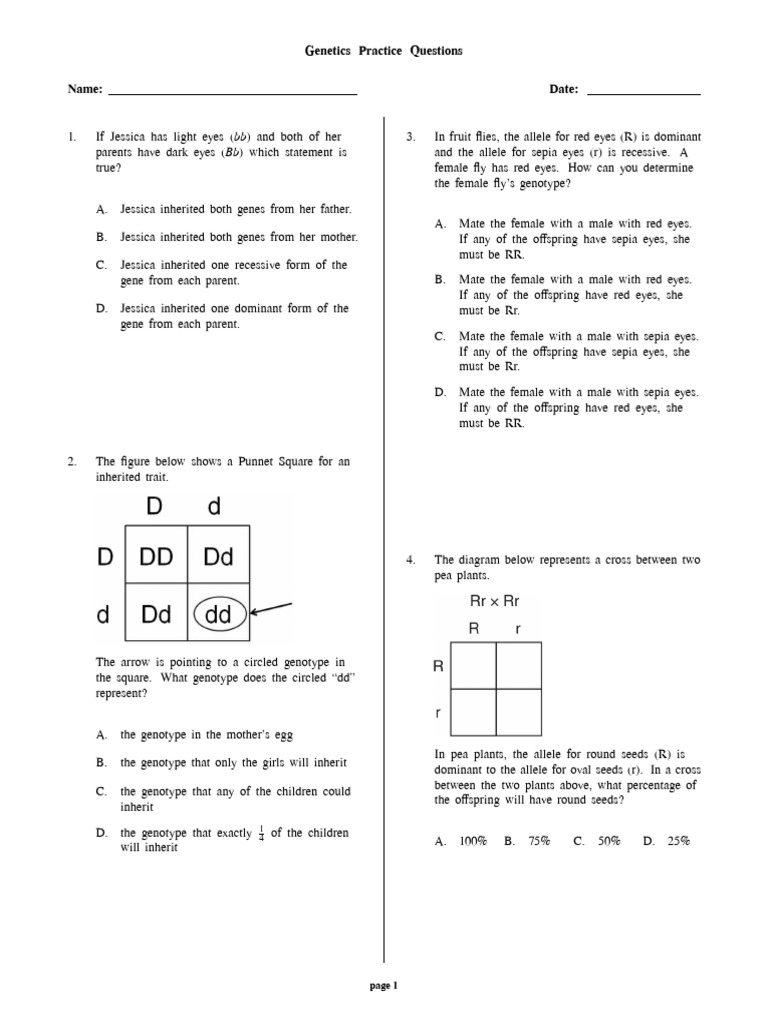 Genetics Practice Questions | PDF | Dominance (Genetics) | Zygosity