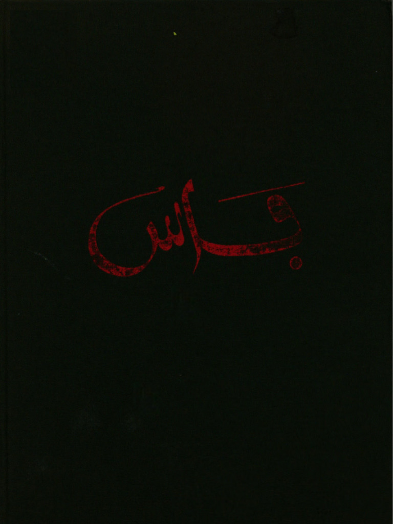 Fez - City of Islam | PDF