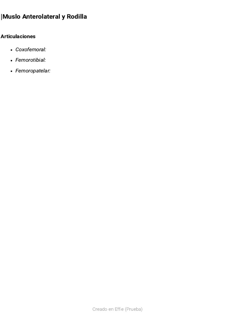 Muslo Anterolateral y Rodilla | PDF | Rodilla | Anatomía del miembro ...
