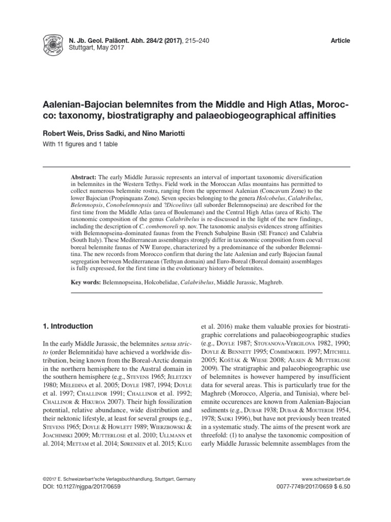 Aalenian-Bajocian Belemnites From The Middle and High Atlas, Moroc-Co ...