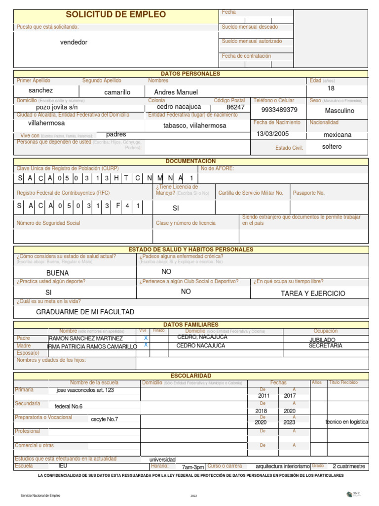 Sne Solicitud de Empleo Plantilla PDF | PDF