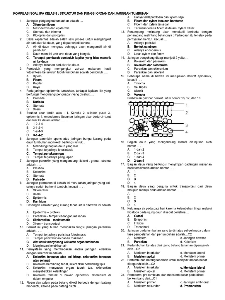 KOMPILASI SOAL IPA KELAS 8. Tumbuhan | PDF