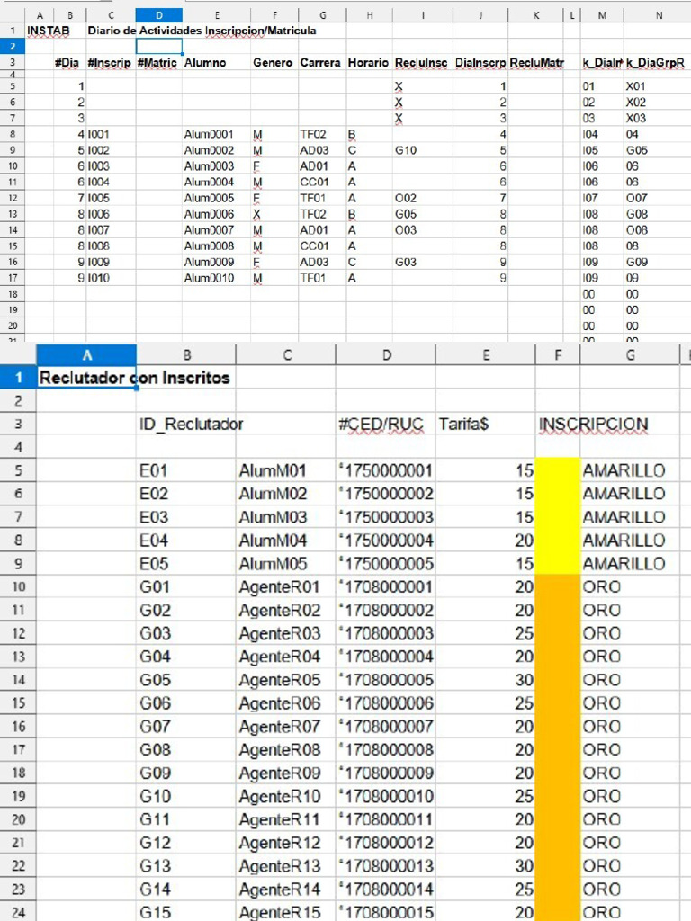 PNT-XLS INSTAB ModeloResmGrafico InscripMatr-3Carr-9Dias 240131-01 | PDF