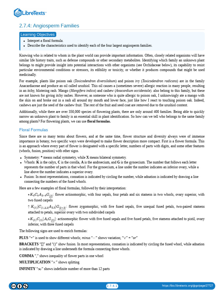 2.7.04 Angiosperm Families | PDF