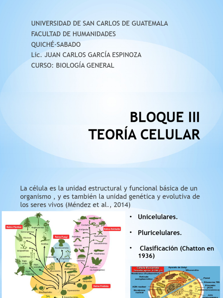 Fundamentos de la Teoría Celular | PDF | Biología Celular) | Organismos