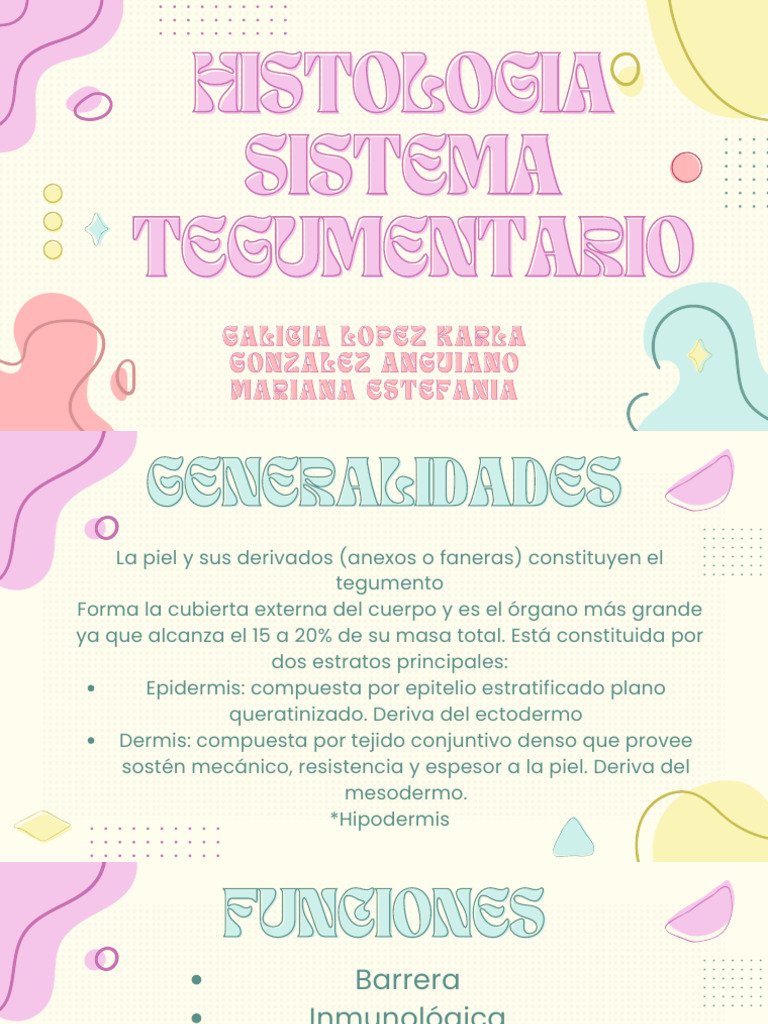 Histologia Sistema Tegumentario - 20231105 - 170028 - 0000 | Descargar gratis PDF | Piel ...